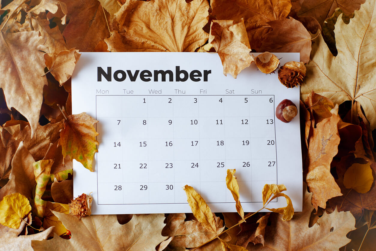 Can I Sow Grass Seed Now in November? – Grass Seed Online